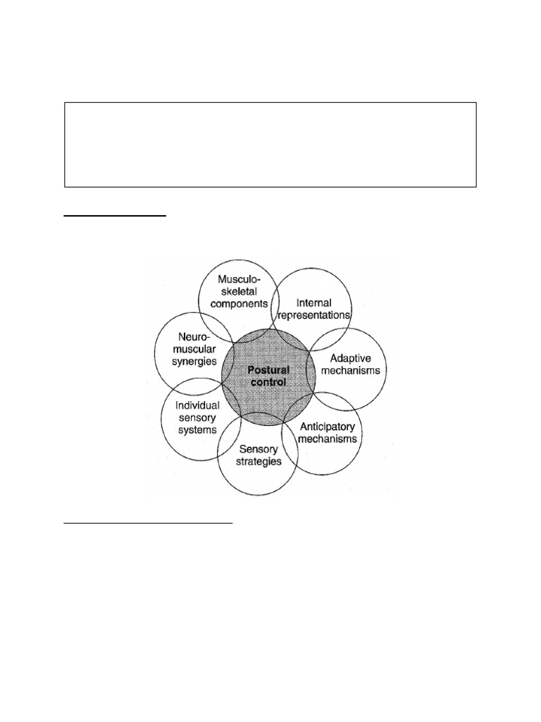 Anderson J - Perturbation Based Balance Training Handout | PDF ...