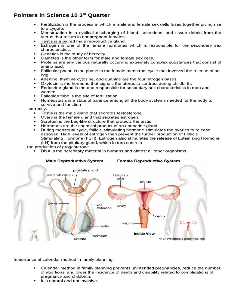 Pointers in Science 10 3rd Quarter | PDF | Menstrual Cycle | Luteinizing Hormone