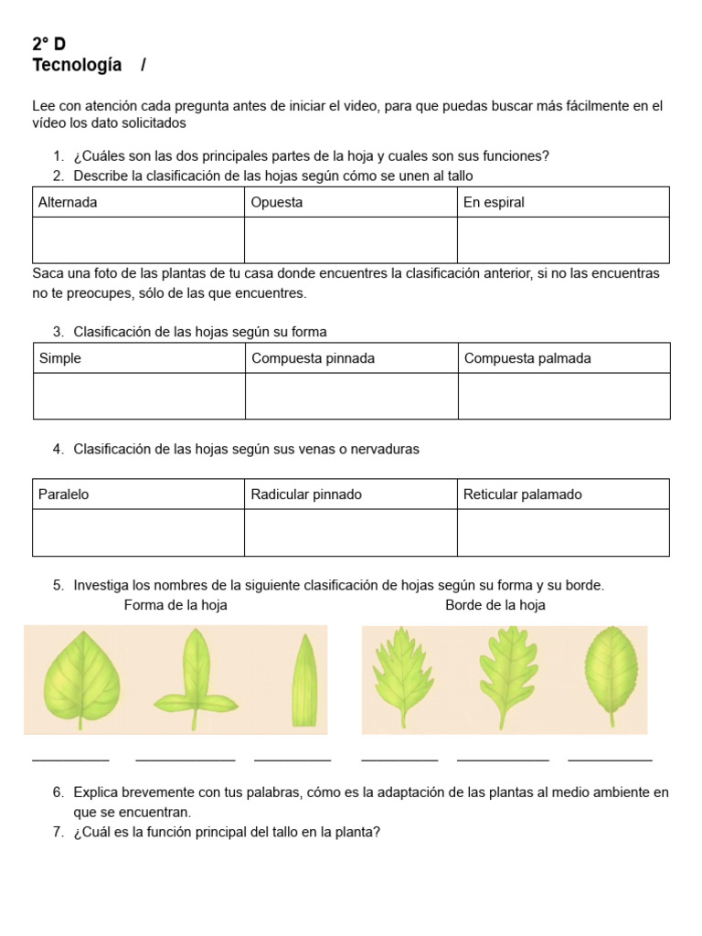 2° D tipos de hoja video | PDF