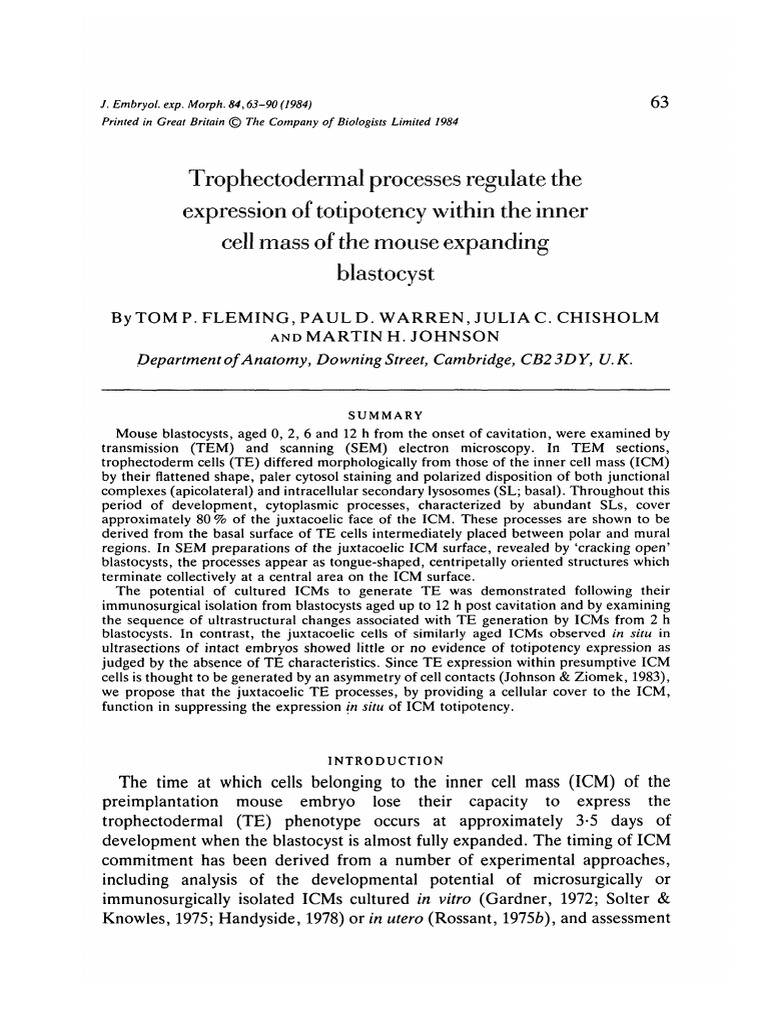 Fleming Et Al., 1984 | PDF | Cell Potency | Life Sciences