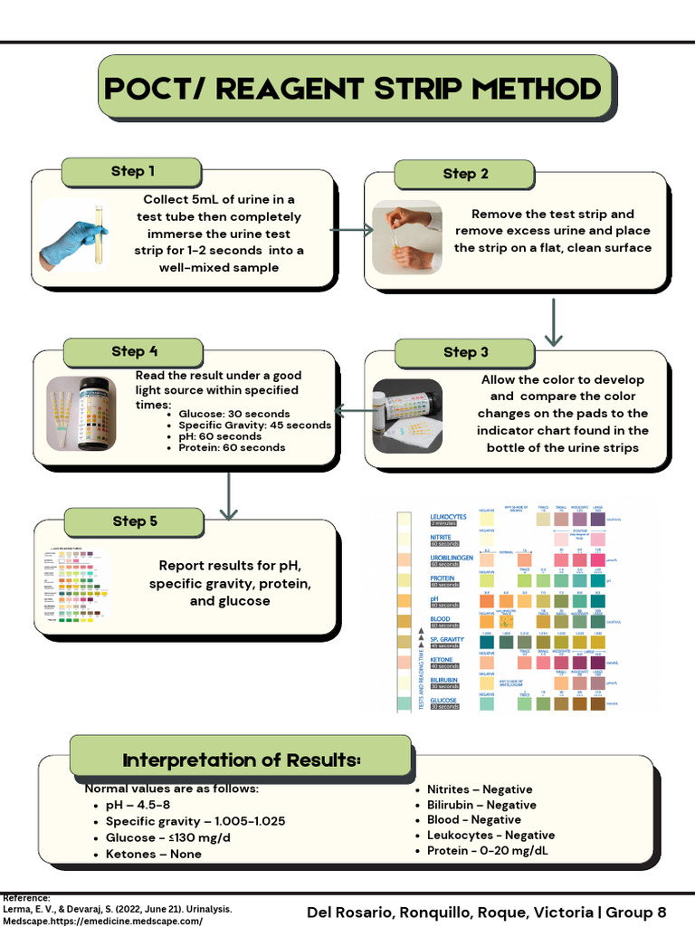The Fibonacci Sequence Student Creation Poster in Lilac and Blue Lined ...