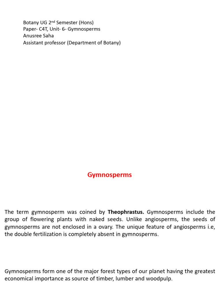 Gym No Sperm | PDF | Plant Stem | Leaf