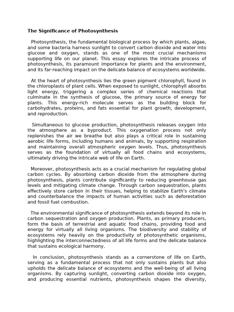 Photosynthesis Essay | PDF | Photosynthesis | Plants