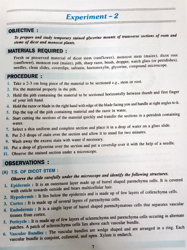 XI Biology Practical Sec A Ex - No. 2 &3 | PDF | Plant Stem | Tissue (Biology)