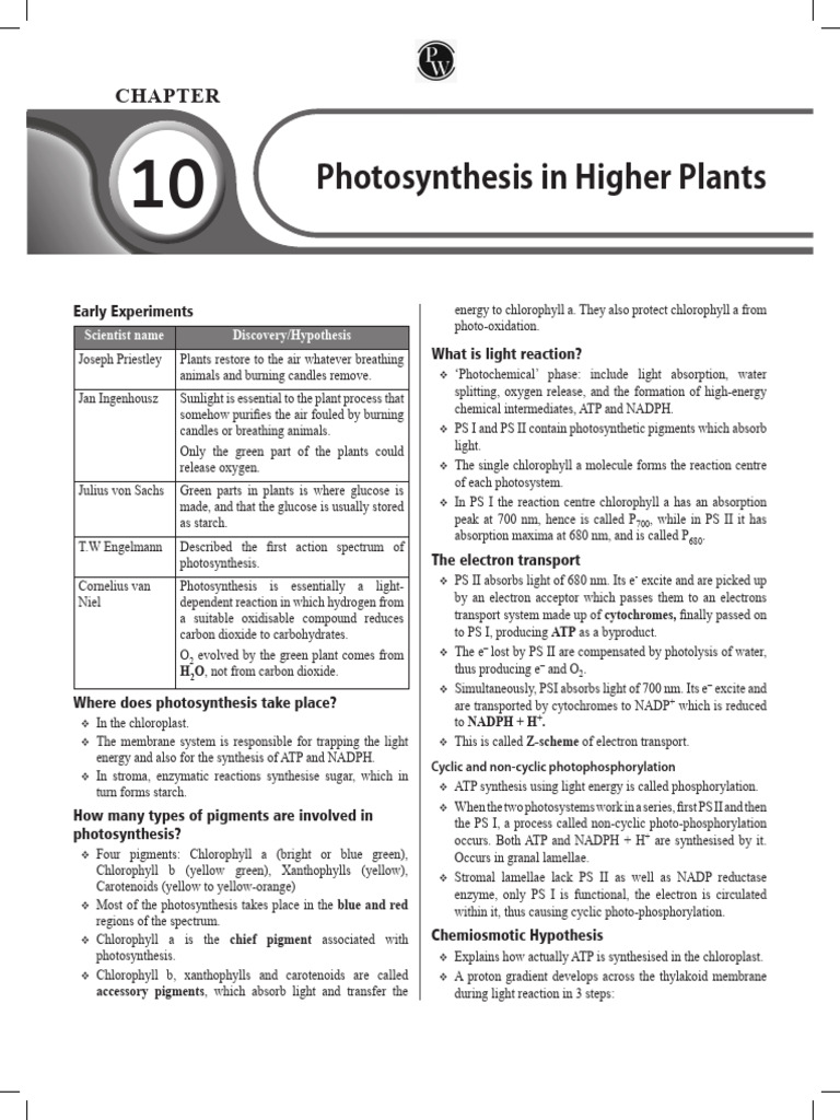 080 Botany Photosynthesis in Higher Plants Short Notes Yakee | PDF ...