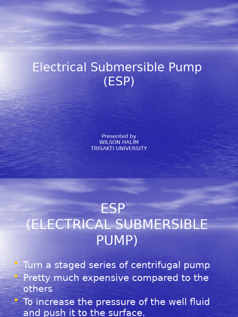 KKP Wilson Halim - Analisa Sederhana Kerja Electrical Submersible Pump ...
