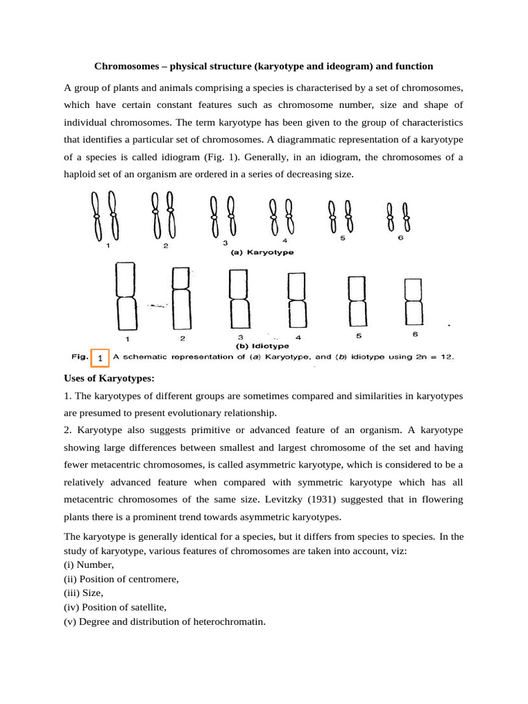 Share 'Chromosomes - U2013 Physical Structure (Karyotype and Ideogram ...
