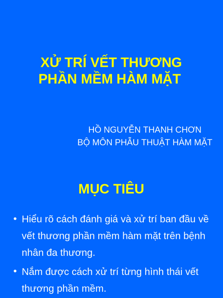 Vet thuong phan mem - Copy | PDF