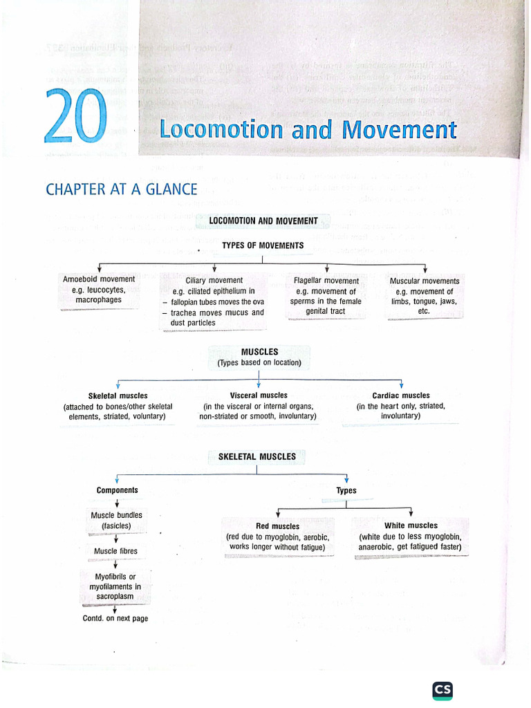 Locomotion and Movement | PDF