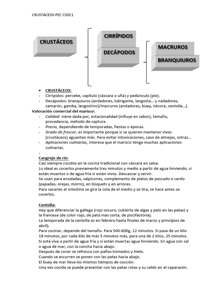 Comparativa de Crustáceos y Mariscos | PDF | Mariscos | Cocina