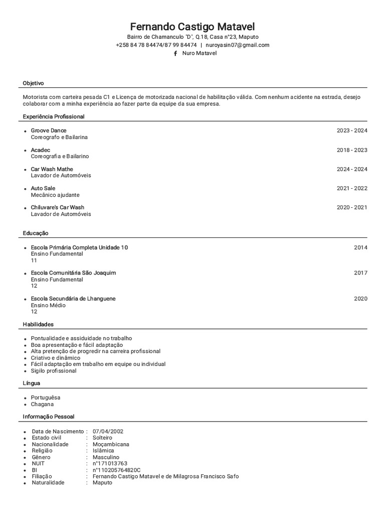 Curriculum Vitae de Fernando | PDF