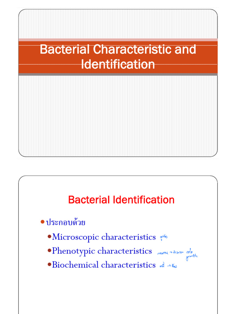 Culture Media and Biochemical Test For Bacterial Identification | PDF