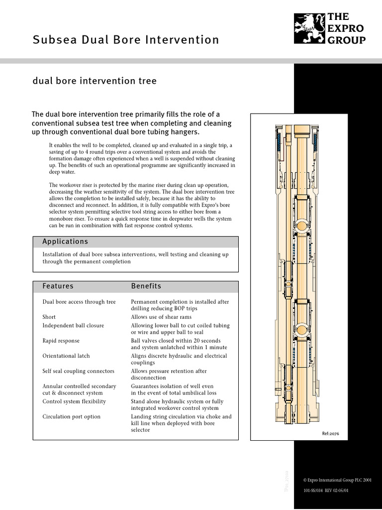 Subsea Dual Bore Intervention Tree Guide | PDF