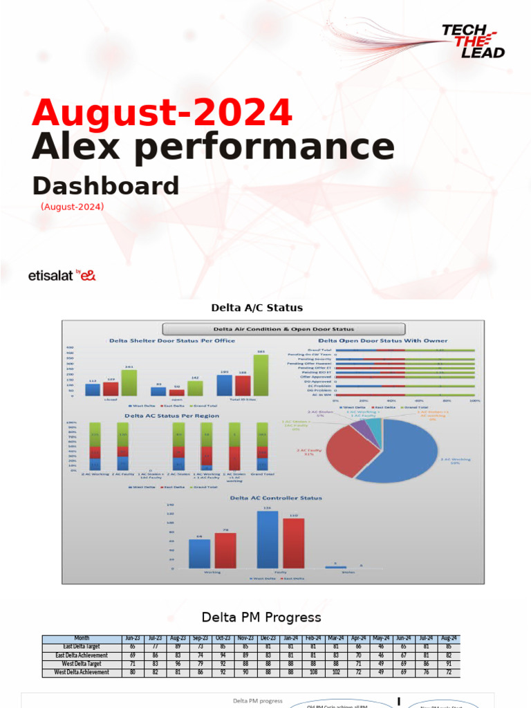 Delta Performance Insights | PDF