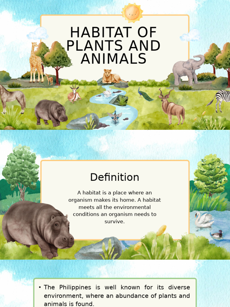 Habitat of Plants and Animals | PDF | Habitat | Plants