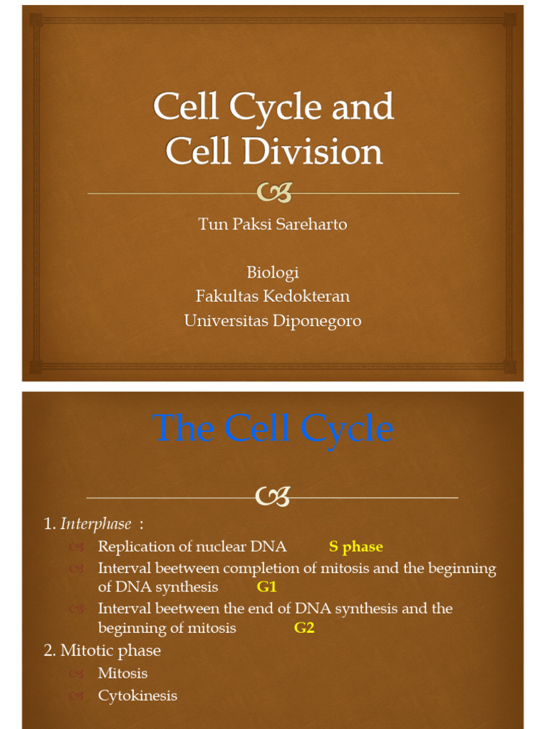 Cell Cycle: Mitosis and Meiosis Overview | PDF | Meiosis | Mitosis