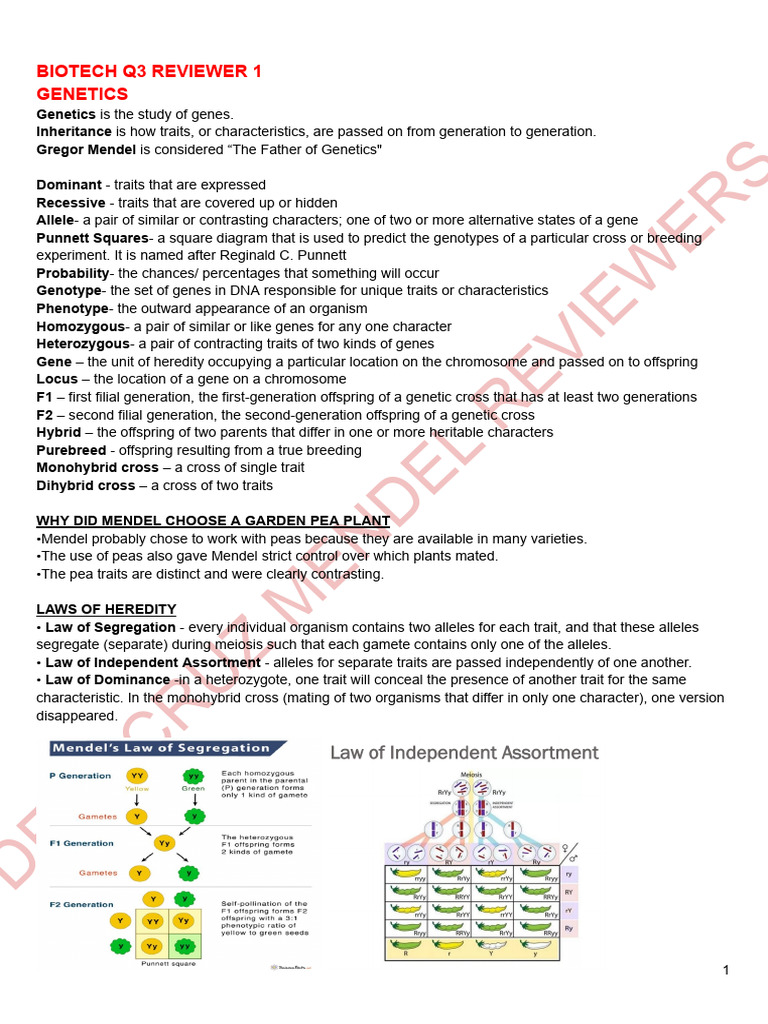 BIOTECH 8 REVIEWER Q3 | PDF | Dominance (Genetics) | Plasmid