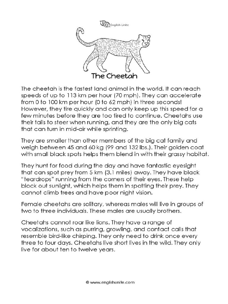 Cheetah | PDF