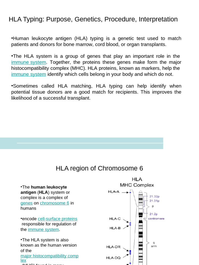 Hla Typing | PDF | Human Leukocyte Antigen | Biology