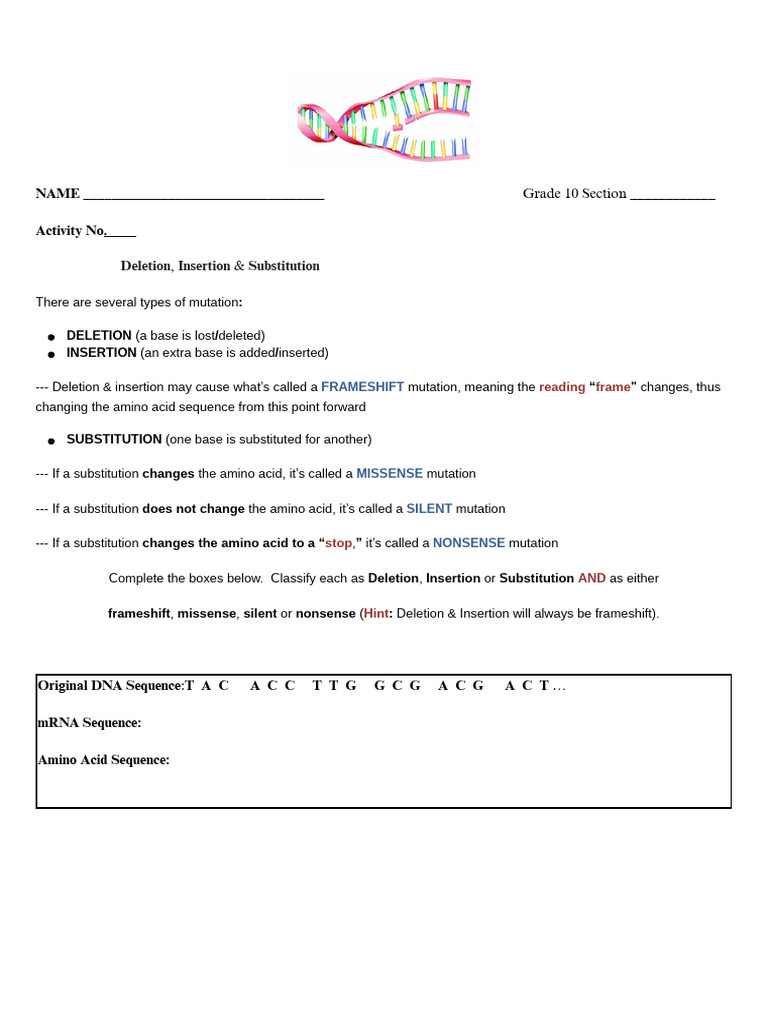 Understanding DNA Mutations: Grade 10 Activity | PDF | Point Mutation | Nucleic Acid Sequence