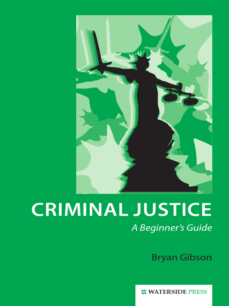Criminal Justice A Beginners Guide 1nbsped 9781908162687 9781909976009 ...