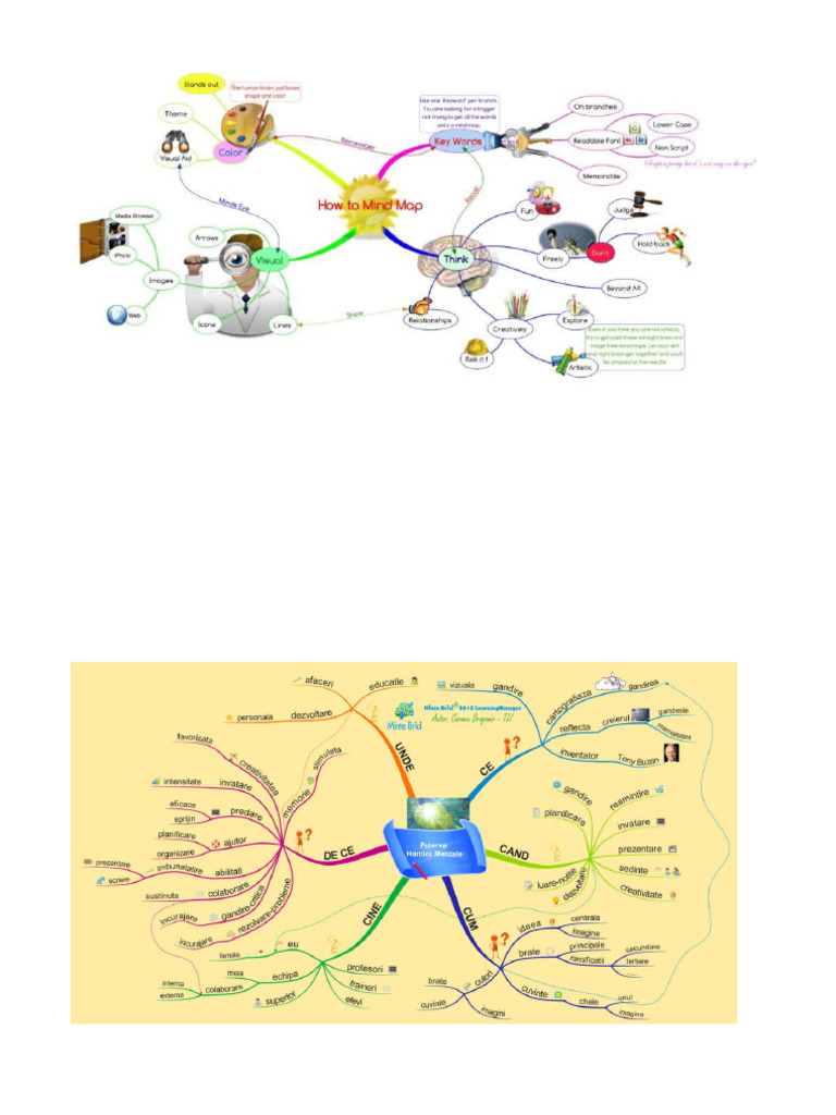 Harta Conceptuala | PDF