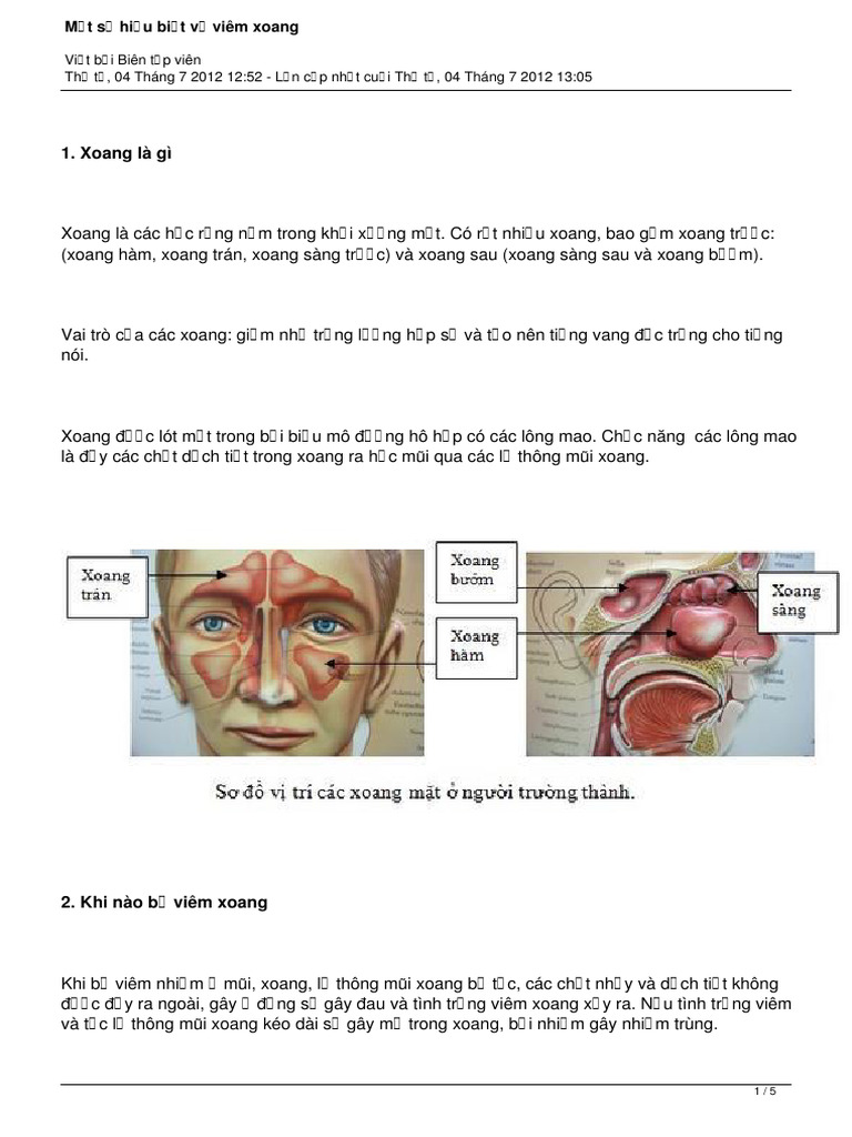 MT S Hiu Bit V Viem Xoang | PDF