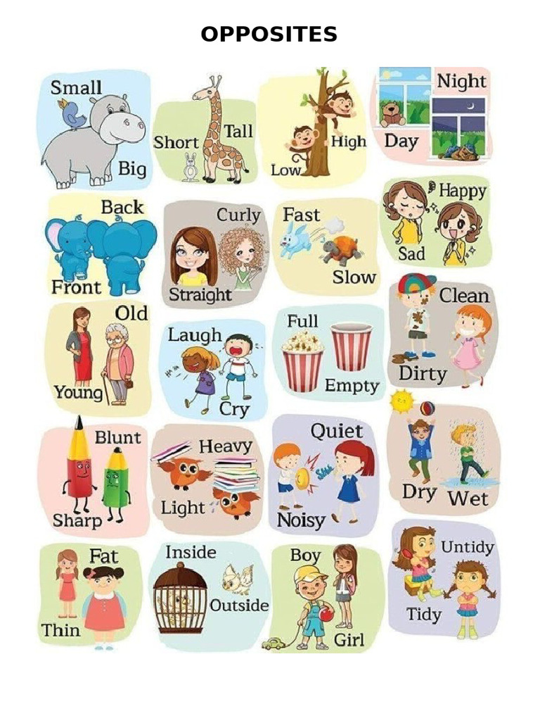 Understanding Opposites: A Guide | PDF