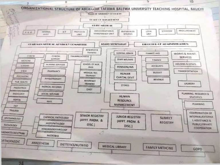 Hospital Organizational Structure | PDF