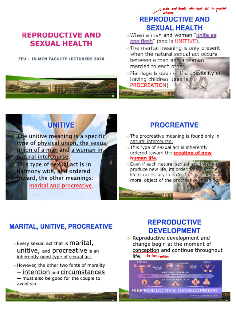 Module 2 Reproductive and Sexual Health 2 | PDF | Menstrual Cycle | Luteinizing Hormone