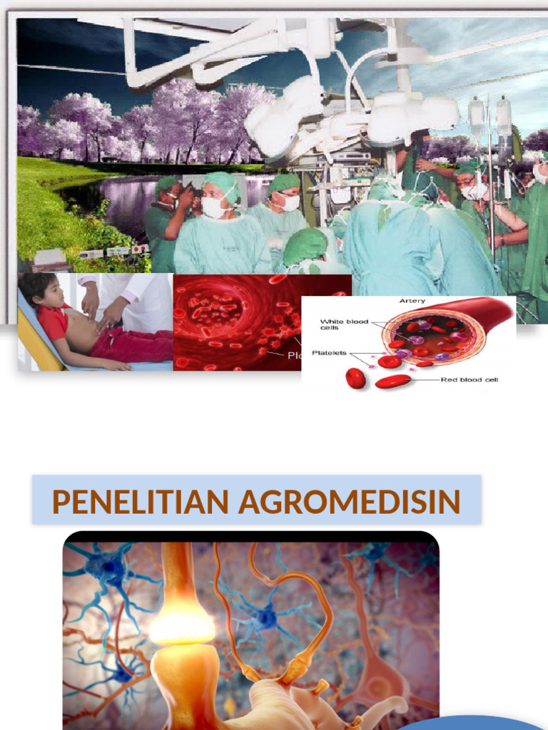 Agromedicine Research in Majujaya | PDF