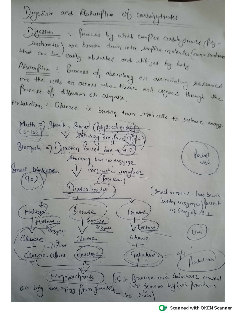 Unit 1 Digestion of Carbohydrates, Proteins and Fats | PDF