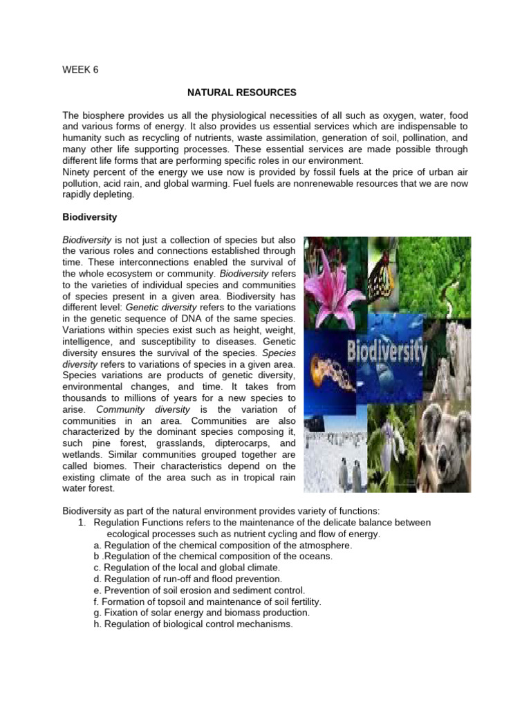 WEEK 6 - Natural Resources | PDF | Biodiversity | Petroleum
