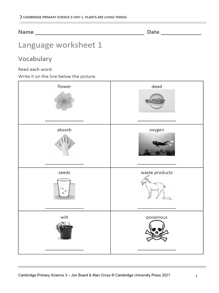 Language Worksheets - Unit 1 | PDF