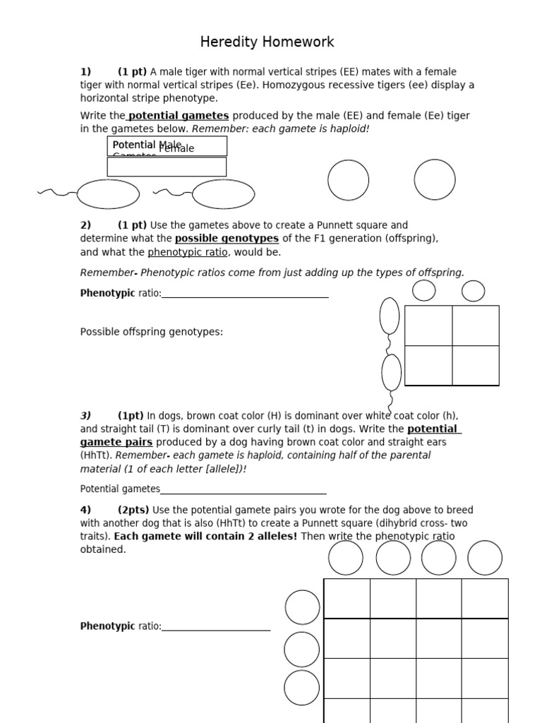 Heredity Homework | PDF | Dominance (Genetics) | Genotype