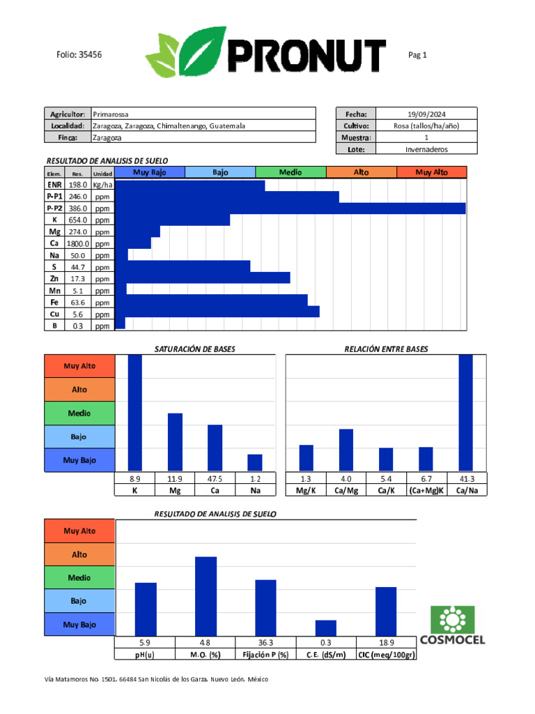 Pronut | PDF | Calcio | Sustancias químicas