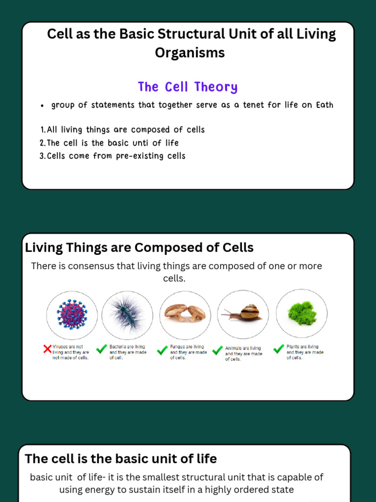 A2.2 Cell Structure | PDF | Endoplasmic Reticulum | Cell (Biology)