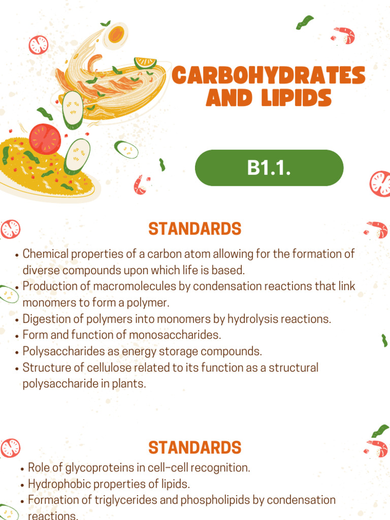 B1.1. Carbohydrates and Lipids | PDF | Polysaccharide | Fatty Acid