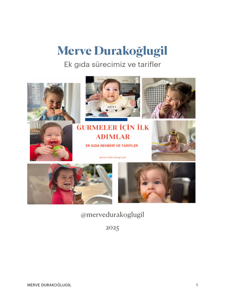 Merve Durakoglugil. Ek Gıda | PDF