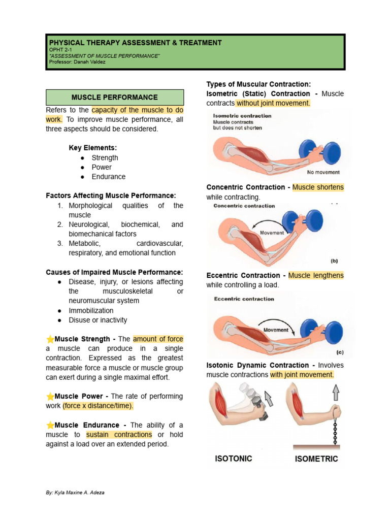 Muscle Performance Assessment Guide | PDF | Skeletal Muscle | Muscle ...