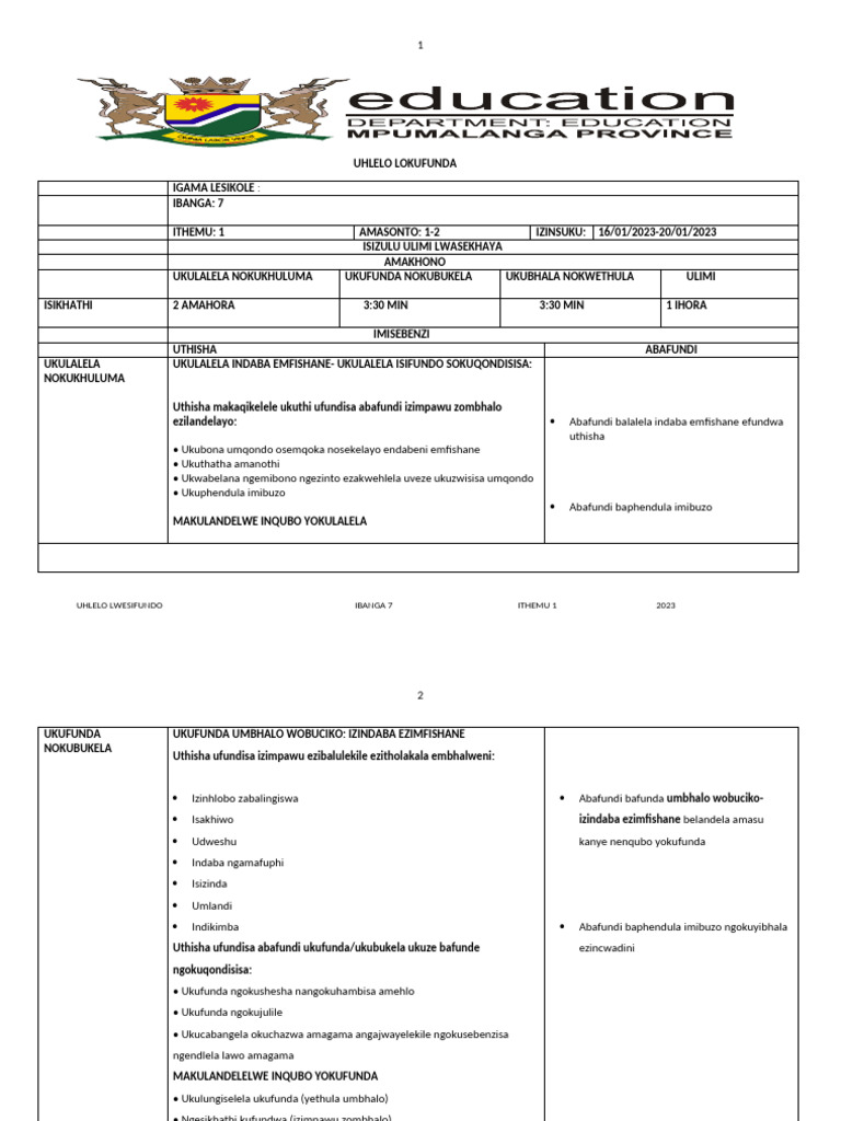 2023 Zul GR 7 T1 Lesson Plan | PDF