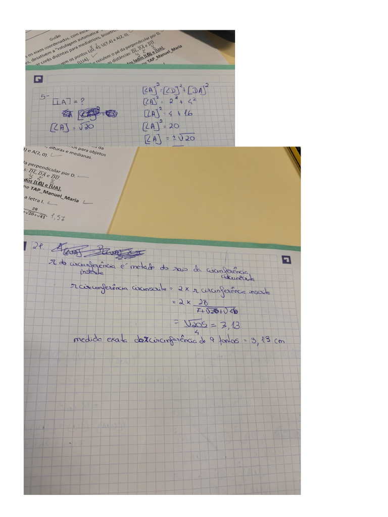 TAP Lara Francisca | PDF