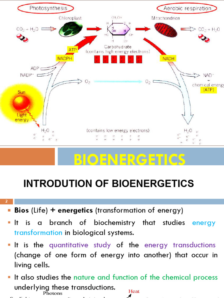 2. Bioenergetics and Biochemical reactions types | PDF | Gibbs Free ...