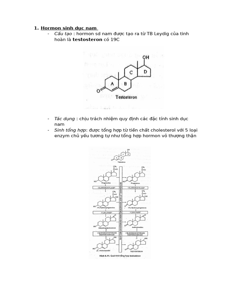 Hormon Sinh D C Nam | PDF