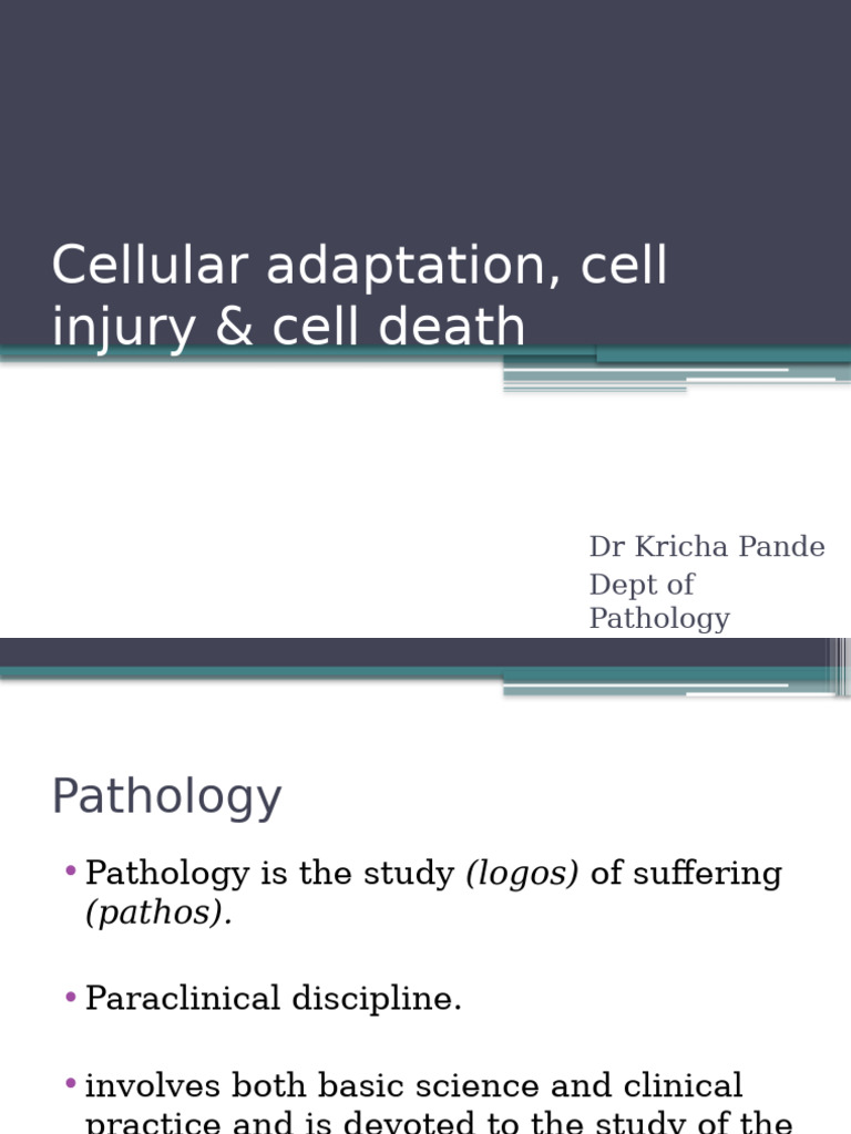 1 Cellular Adaptation | PDF | Necrosis | Apoptosis