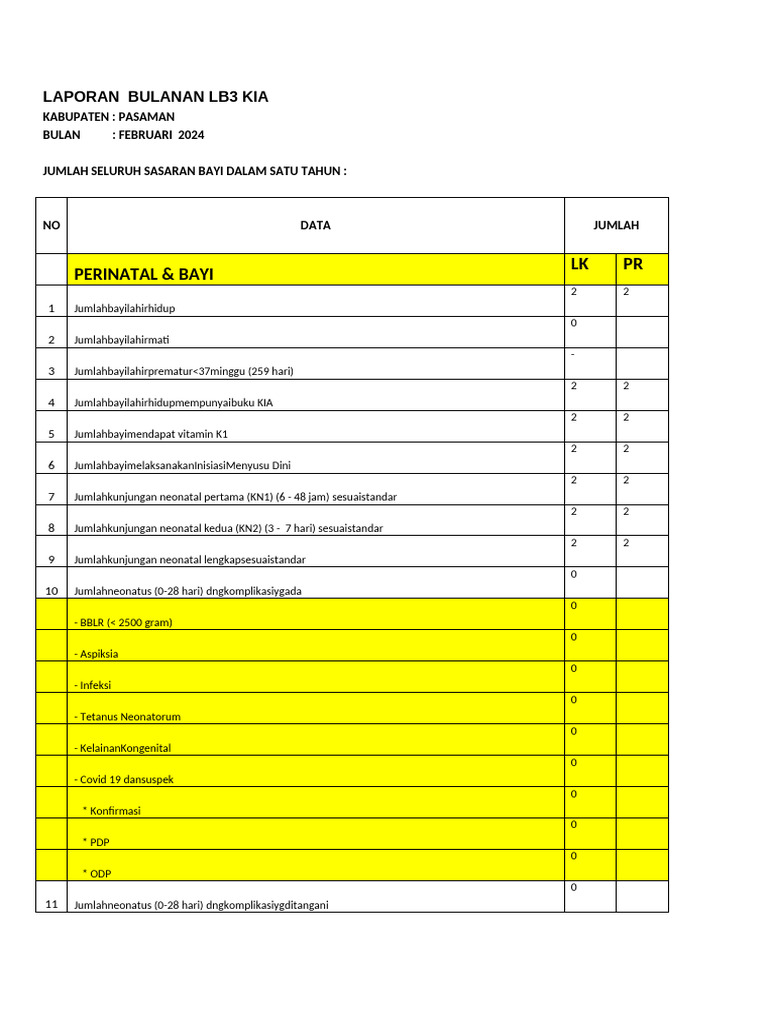 Laporan Kesehatan Bayi Pasaman | PDF