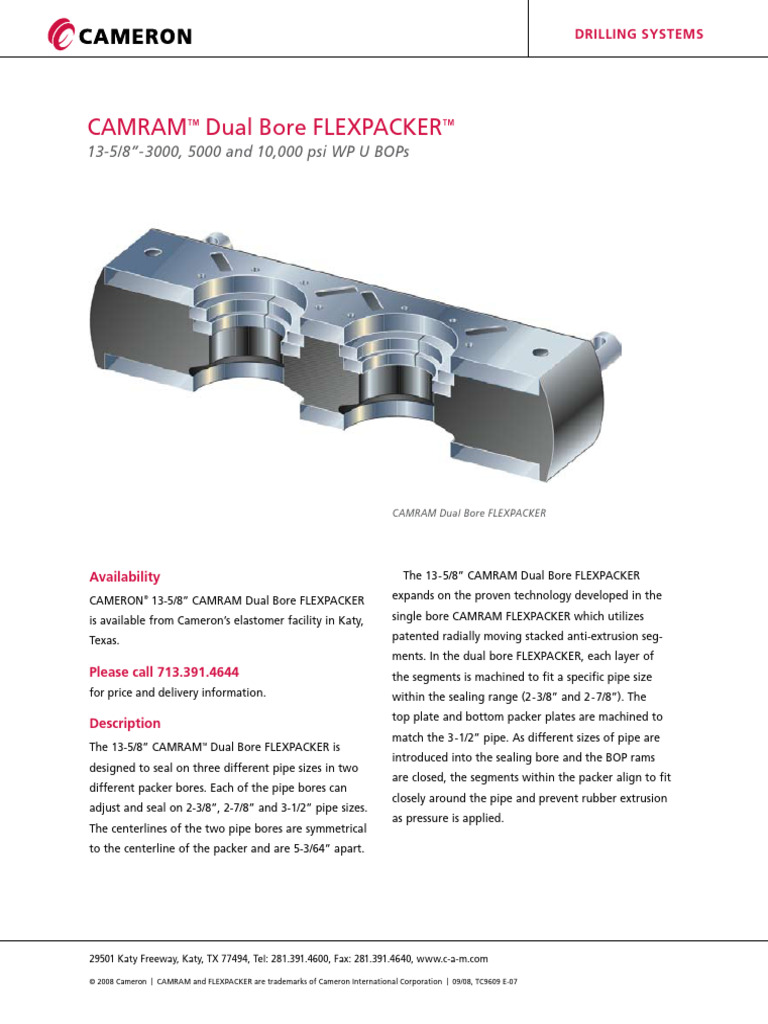 Cam Ram Dual Bo Reflex Packer | PDF | Mechanical Engineering ...