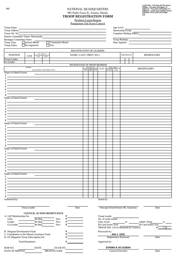 0 GSP Registration Form 2 1 1 | PDF | Girl Guiding And Girl Scouting ...
