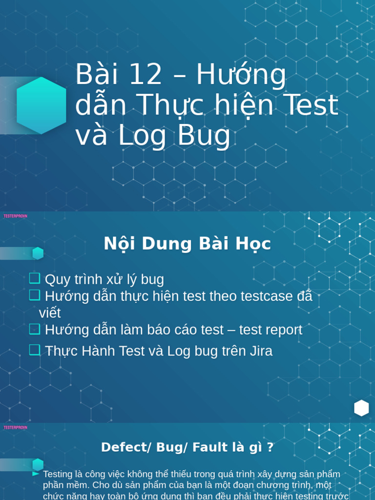 Bai 12 - Thuc Hien Test - Log Bug | PDF