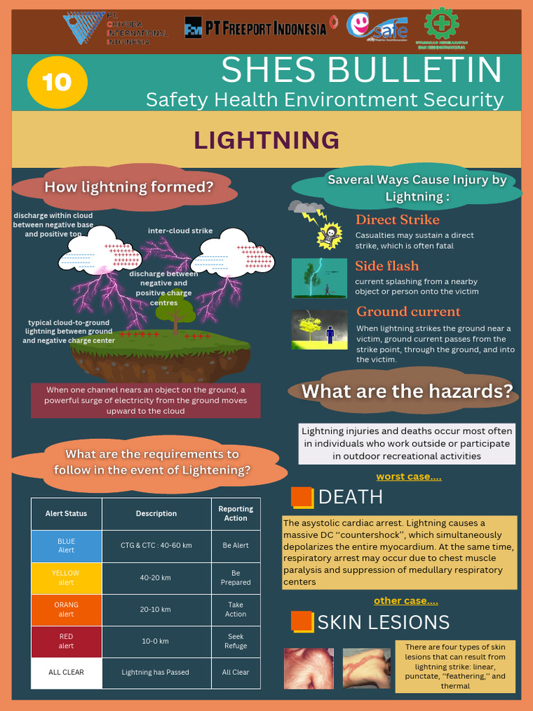 10. Shes Bulletin - Lightning | PDF
